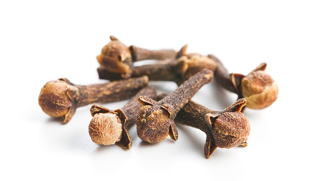 Descubra por que mastigar cravo e os benefícios da planta